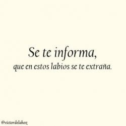 Frases Bonitas para Decir Te Extraño a Alguien Especial