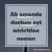 Frases de Amor en LATÍN 【Con Traducción e Imágenes】