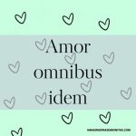 Frases de Amor en LATÍN 【Con Traducción e Imágenes】