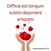 Frases de Amor en LATÍN 【Con Traducción e Imágenes】