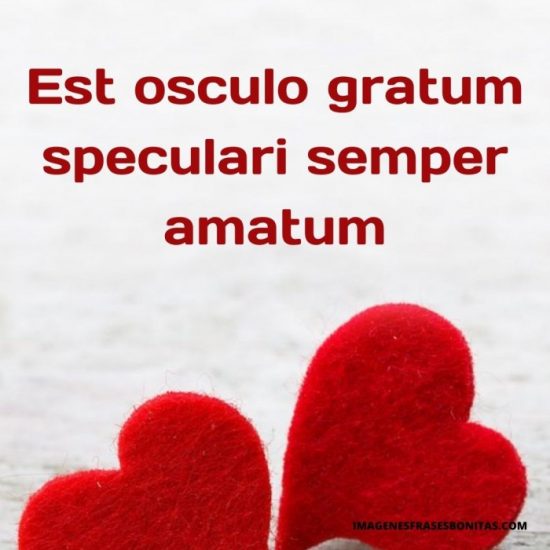 Frases de Amor en LATÍN 【Con Traducción e Imágenes】