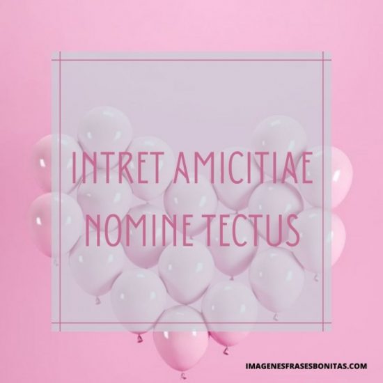 Frases de Amor en LATÍN 【Con Traducción e Imágenes】