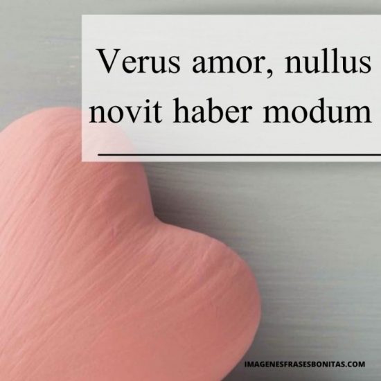 Frases de Amor en LATÍN 【Con Traducción e Imágenes】