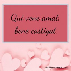 Frases de Amor en LATÍN 【Con Traducción e Imágenes】