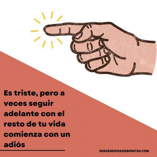 160 Frases bonitas para decir adiós y de despedida