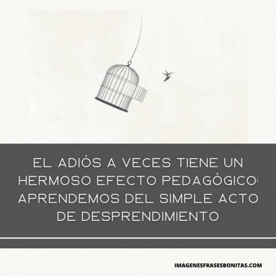 160 Frases bonitas para decir adiós y de despedida