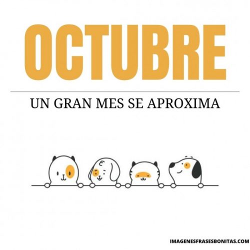 Bienvenido octubre 2023: Imágenes de Hola y Feliz octubre, frases, mensajes