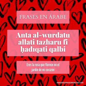 Frases de amor en árabe con imágenes y significado