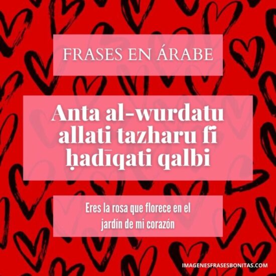 Frases de amor en árabe con imágenes y significado