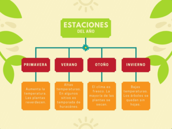 ¿Qué son los mapas conceptuales? (25 ejemplos y cómo hacerlos)
